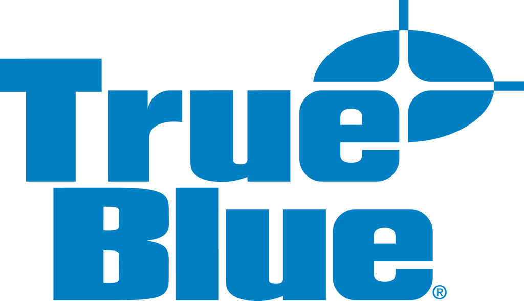 16 in. True Blue® Combination Square