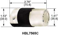 Hubbell HBL7565-C 10A 250V / 15A 125V Non-NEMA Twist-Lock INSULGRIP ...