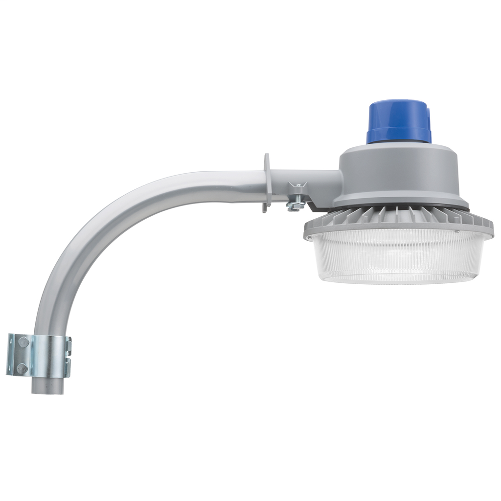 LITH BGR LED P2 50K MVOLT PER DNA M | Crawford Electric Supply