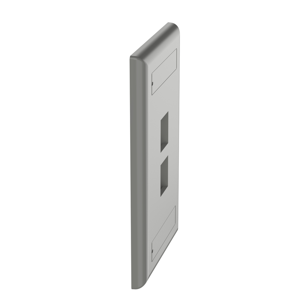 PAN NK2FIGY NetKey® Faceplate, 2-Po | Cooper Electric